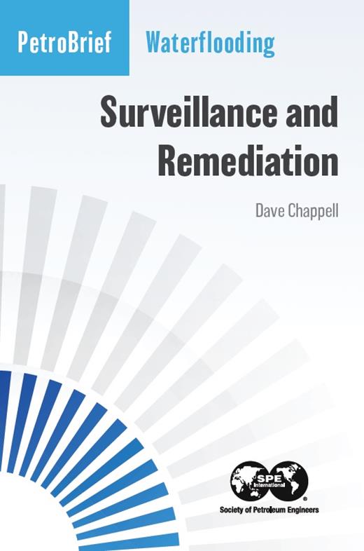 Nomenclature | Waterflooding: Surveillance and Remediation | Books ...