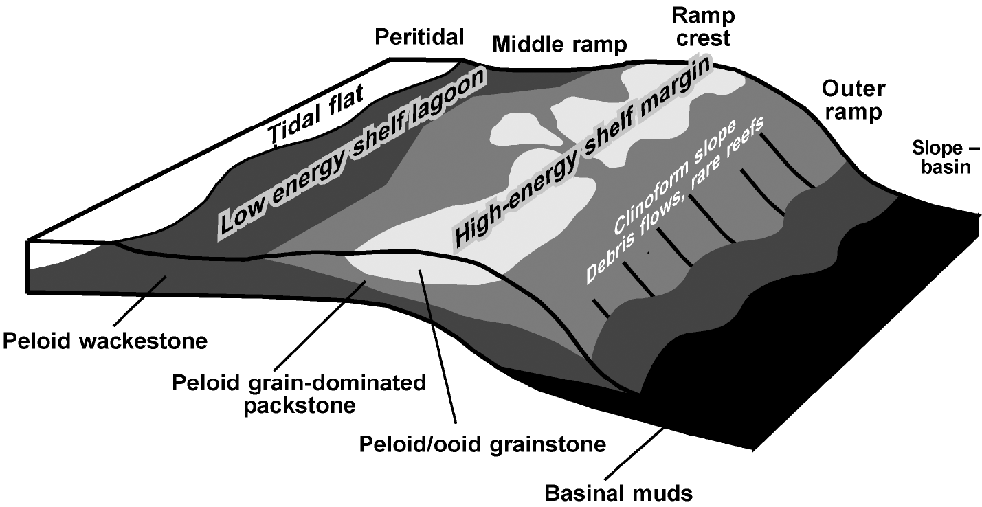Carbonate reservoir geology | Society of Petroleum Engineers (SPE ...