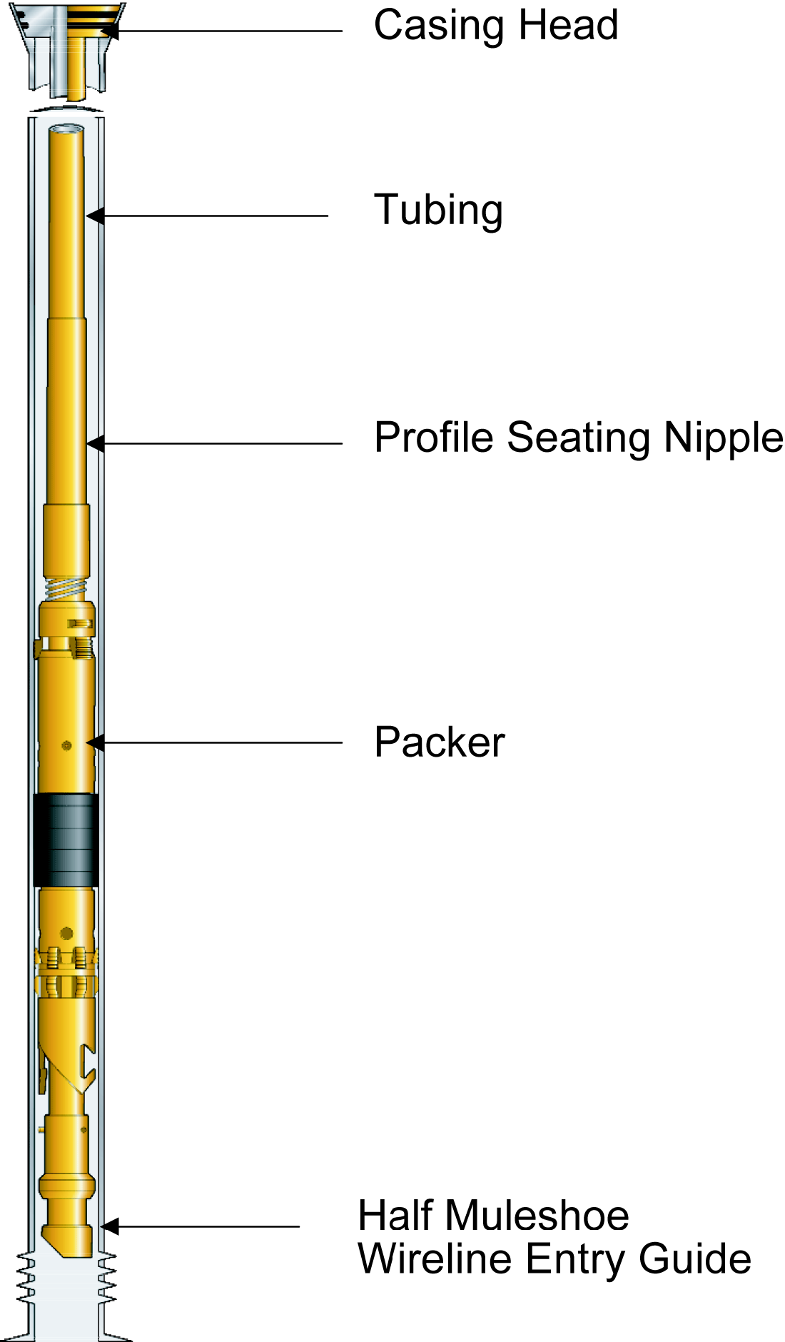 Cased hole completions | Society of Petroleum Engineers (SPE) | OnePetro