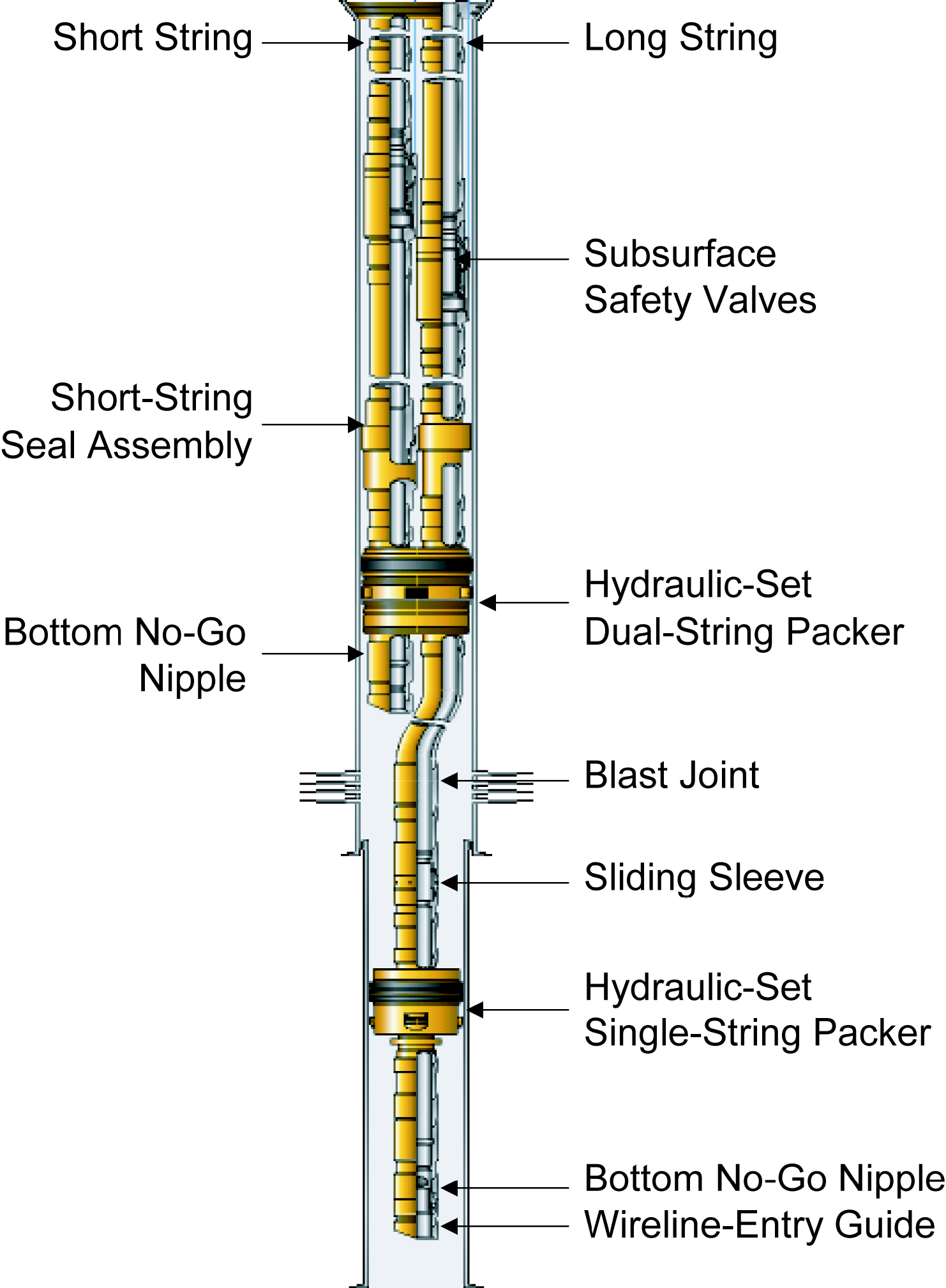 Cased hole completions | Society of Petroleum Engineers (SPE) | OnePetro