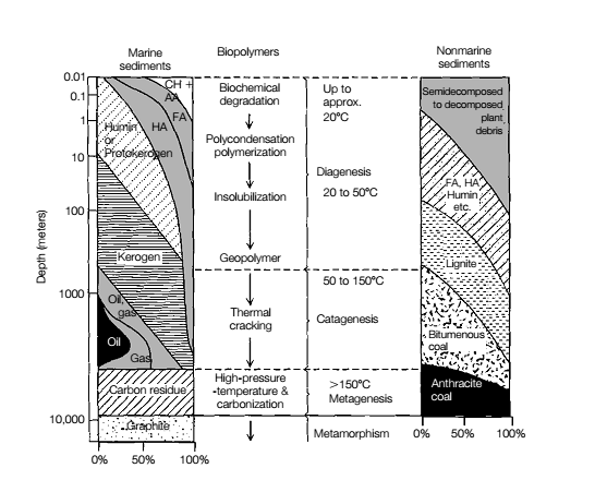 Generation of hydrocarbon accumulations | Society of Petroleum ...