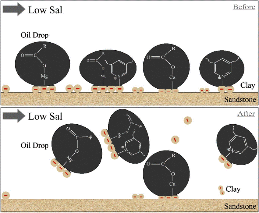 Low-salinity water flooding | Society of Petroleum Engineers (SPE ...