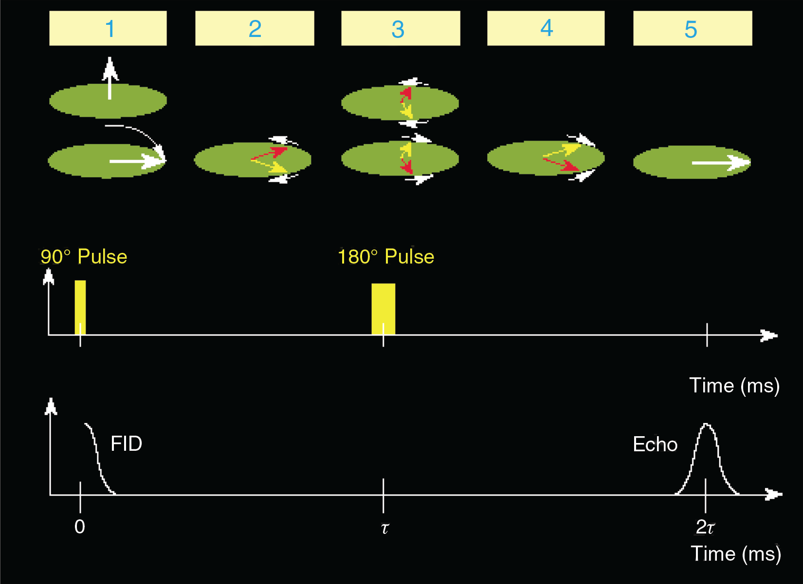 Nuclear magnetic resonance (NMR) logging | Society of Petroleum ...