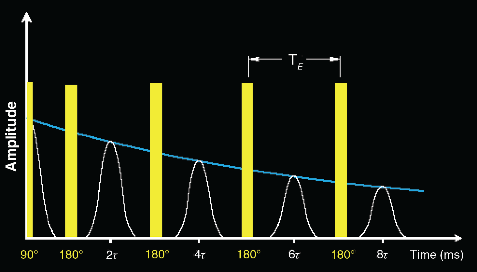 Nuclear magnetic resonance (NMR) logging | Society of Petroleum ...