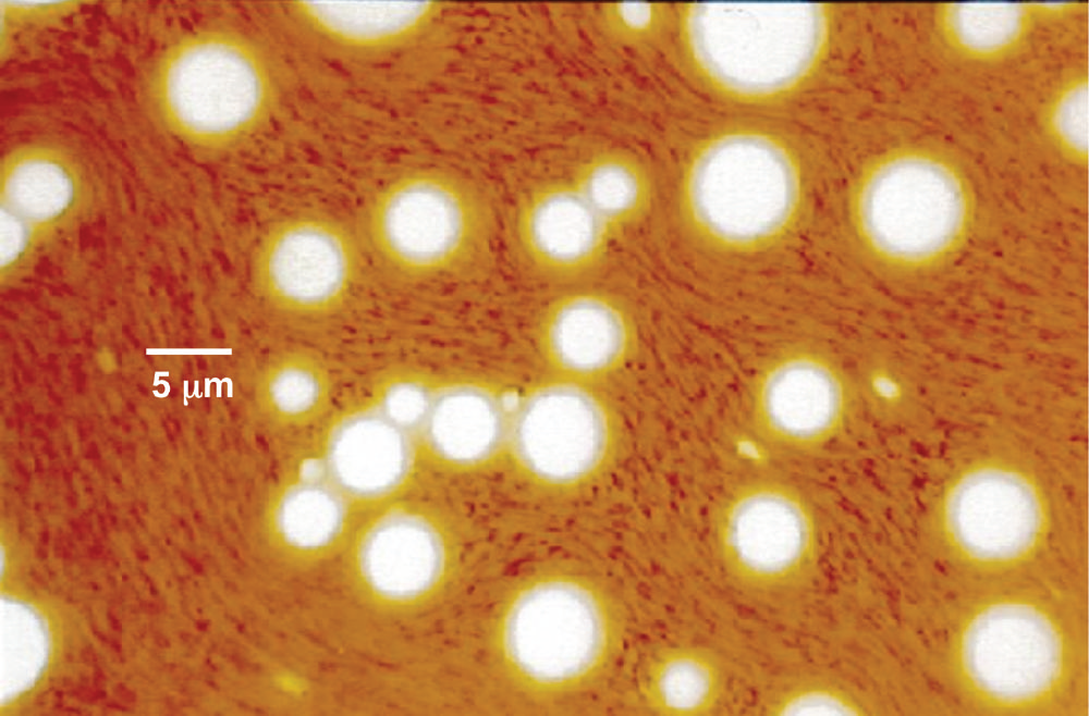 Oil emulsions | Society of Petroleum Engineers (SPE) | OnePetro