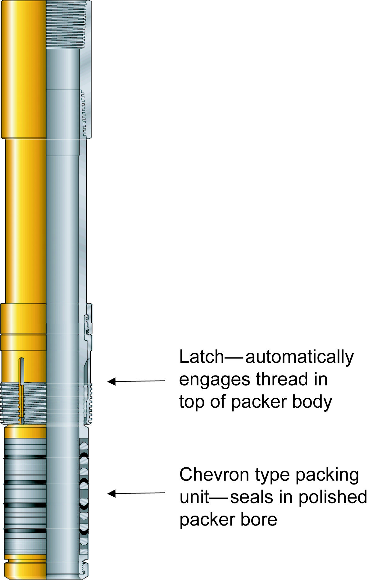 Packers | Society of Petroleum Engineers (SPE) | OnePetro