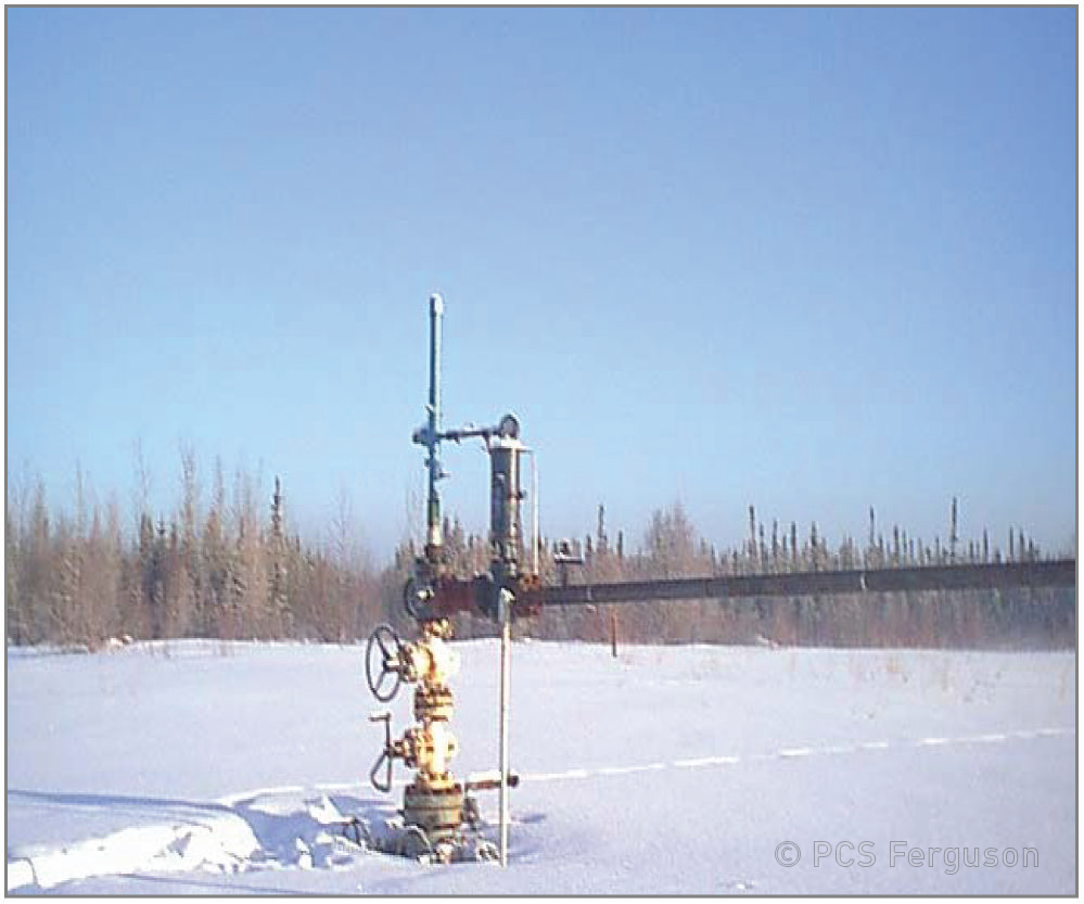 Plunger lift | Society of Petroleum Engineers (SPE) | OnePetro
