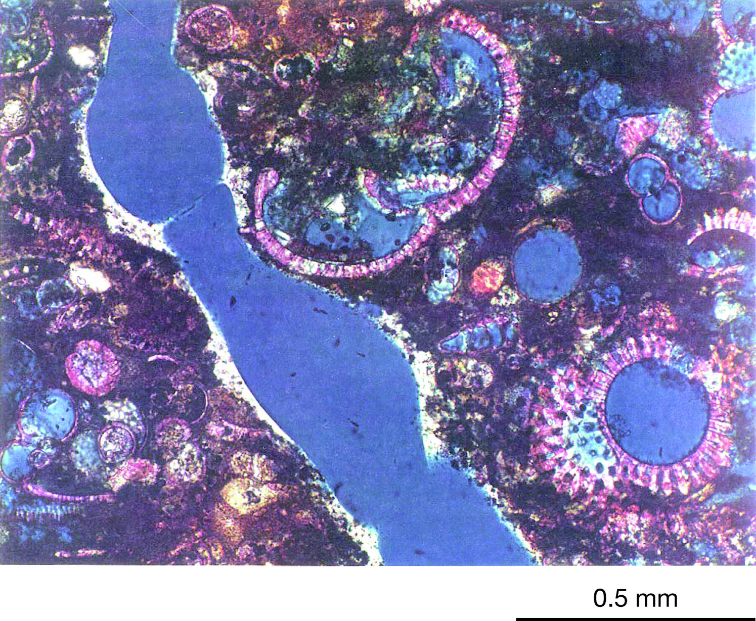 Rock types | Society of Petroleum Engineers (SPE) | OnePetro