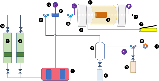 Cyclic Gas Injection in Low-Permeability Oil Reservoirs: Progress in ...