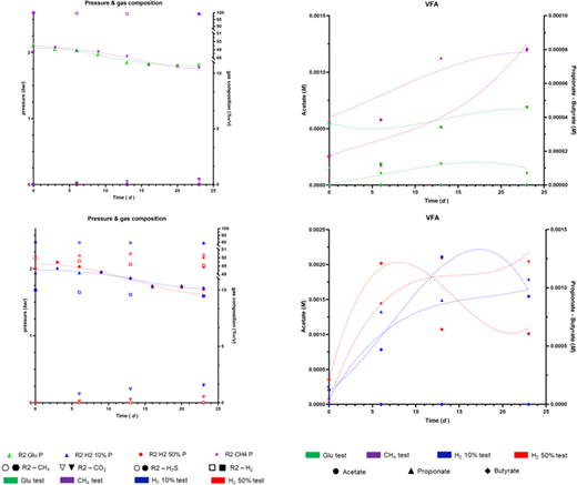 Biogeochemical Modeling of High-Pressure/High-Temperature Bioreactor ...