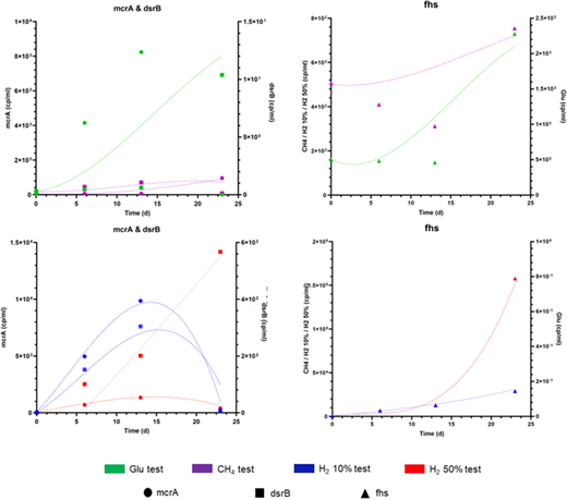 Biogeochemical Modeling of High-Pressure/High-Temperature Bioreactor ...