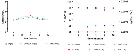 Biogeochemical Modeling of High-Pressure/High-Temperature Bioreactor ...
